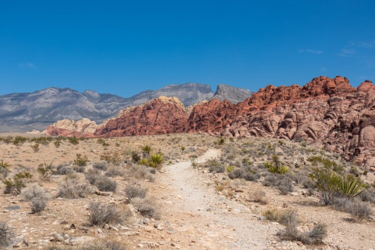 Exploring Red Rock Hiking Trails