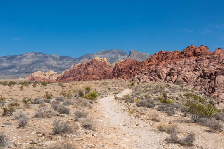 Exploring Red Rock Hiking Trails
